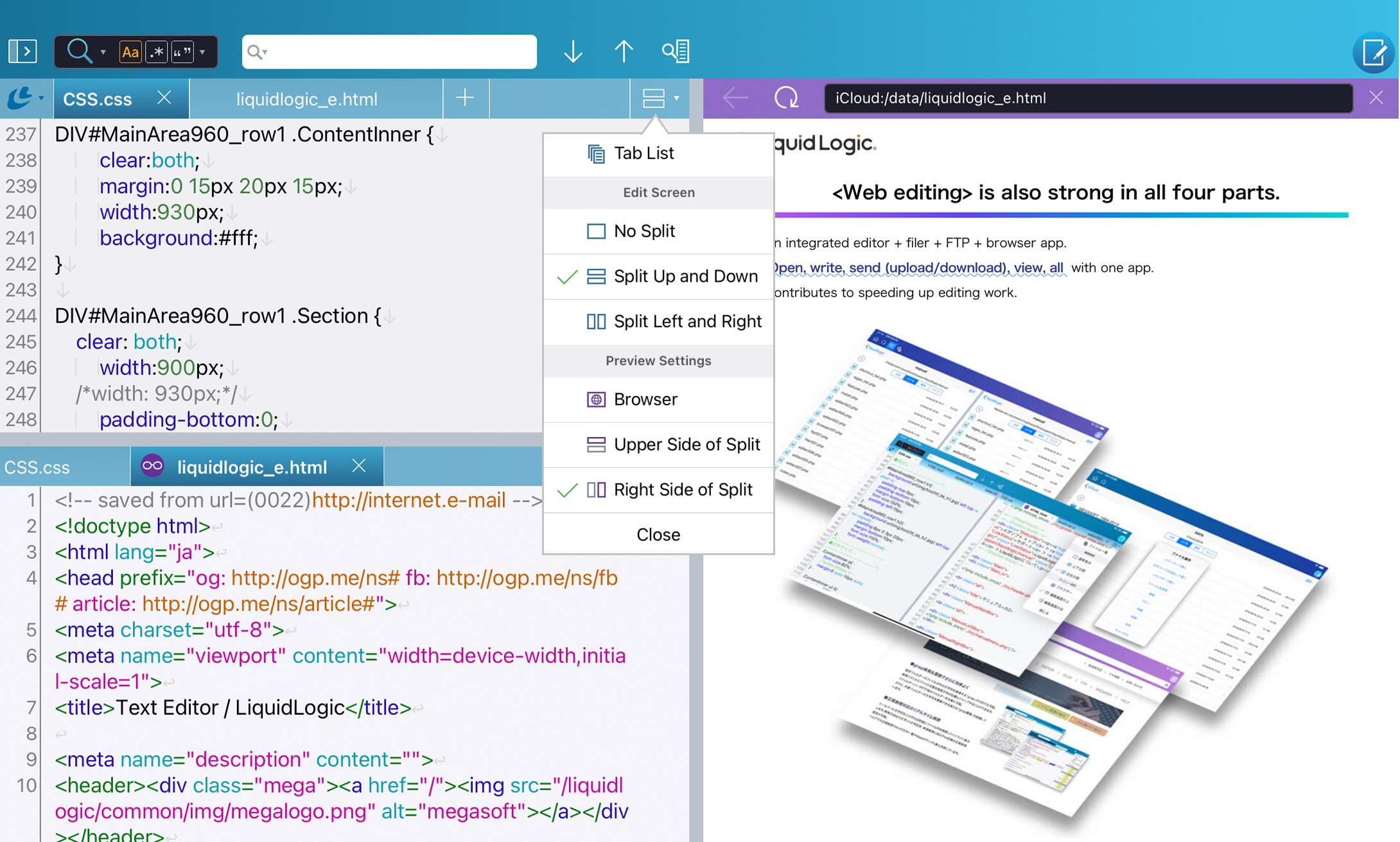 HTML Preview‐Manual‐Text Editor LiquidLogic‐Support‐MEGASOFT