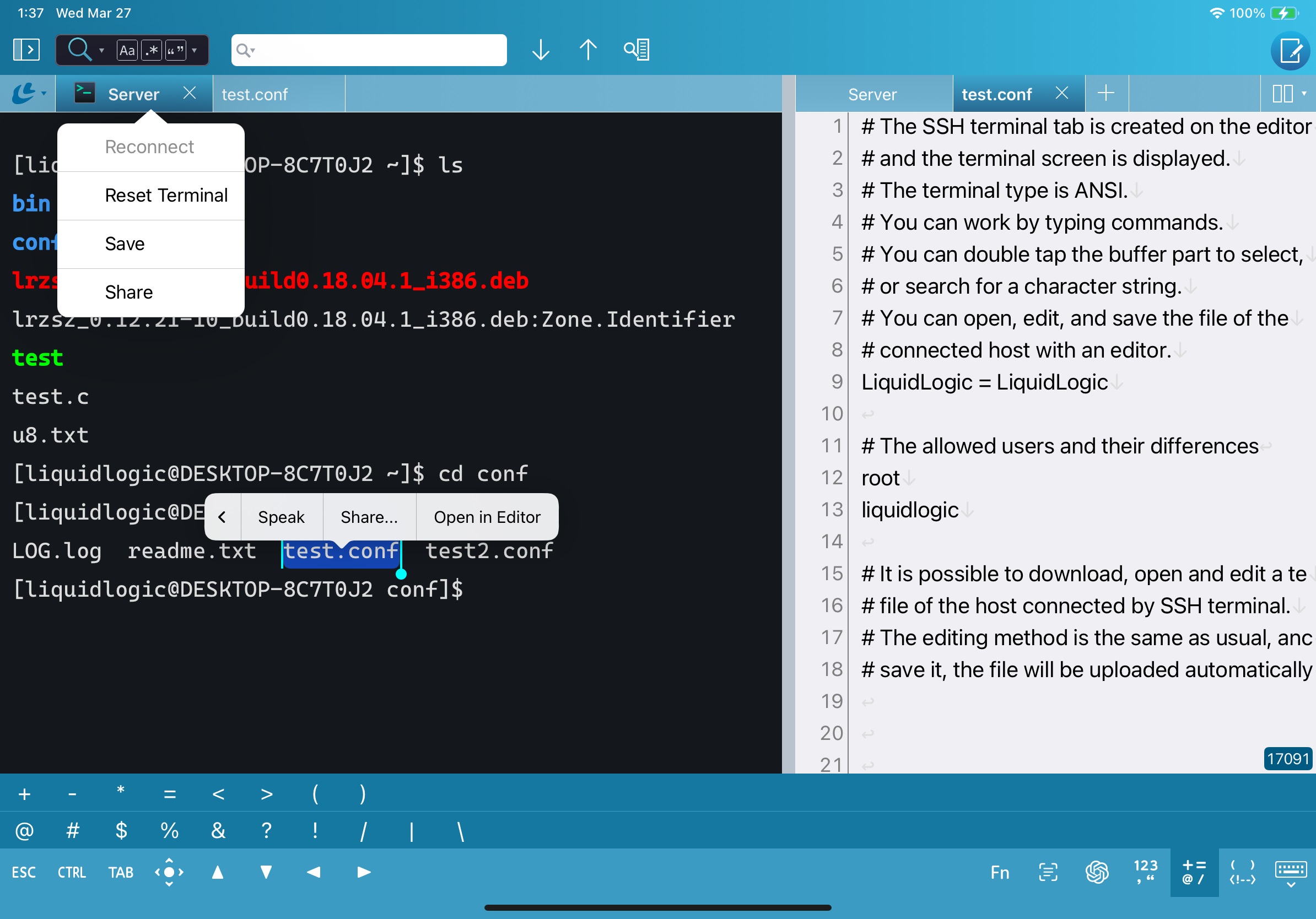 SSH Terminal‐Manual‐Text Editor LiquidLogic‐Support‐MEGASOFT